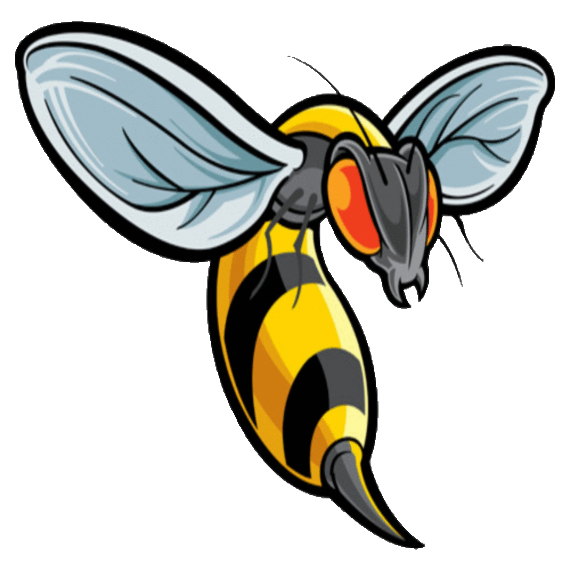 Leyland Wasp Nest Removal And Pest Control £50.00 Near Me